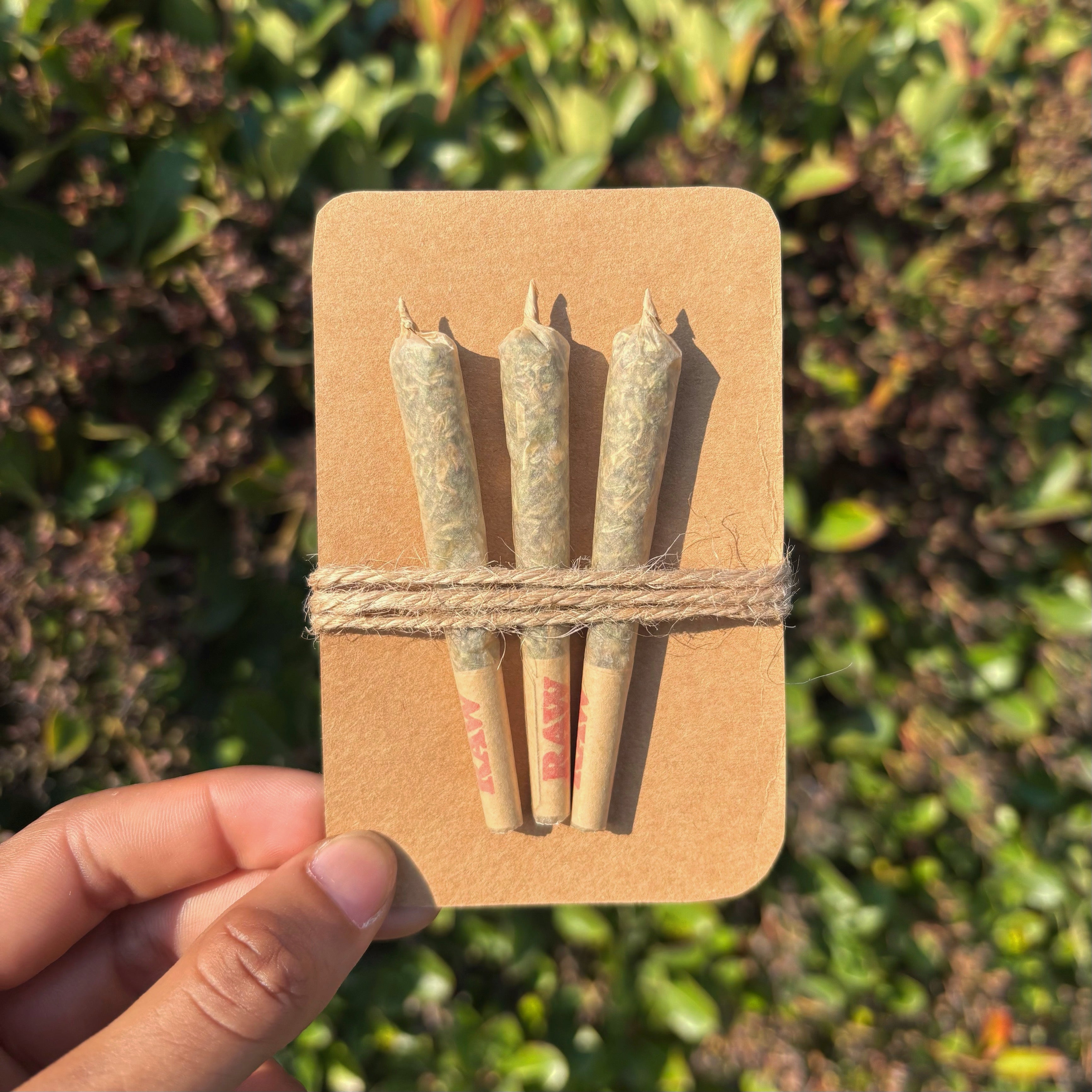 Catnip Joints- Feline Only! – Catnip Clouds
